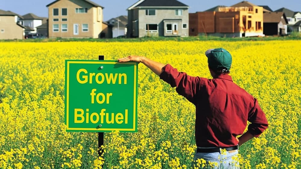 3 Types Of Biofuels Advantages And Disadvantages Linquip 3 Types Of Biofuels Advantages And Disadvantages Linquip
