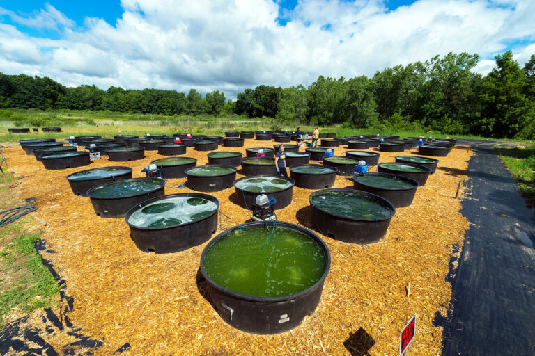 How is BioFuel Made? Common Biofuels and Their Production | Linquip
