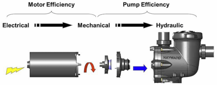 6 Parts of Pool Pump + Diagram & PDF | Linquip